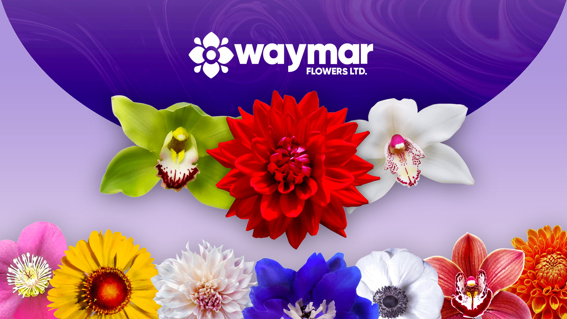 Waymar Flowers